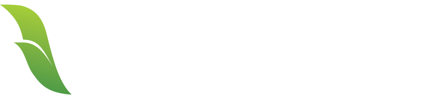 Silent Auction - NC Fossil Festival