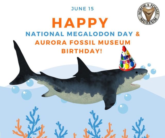 Gallery - NC Fossil Festival